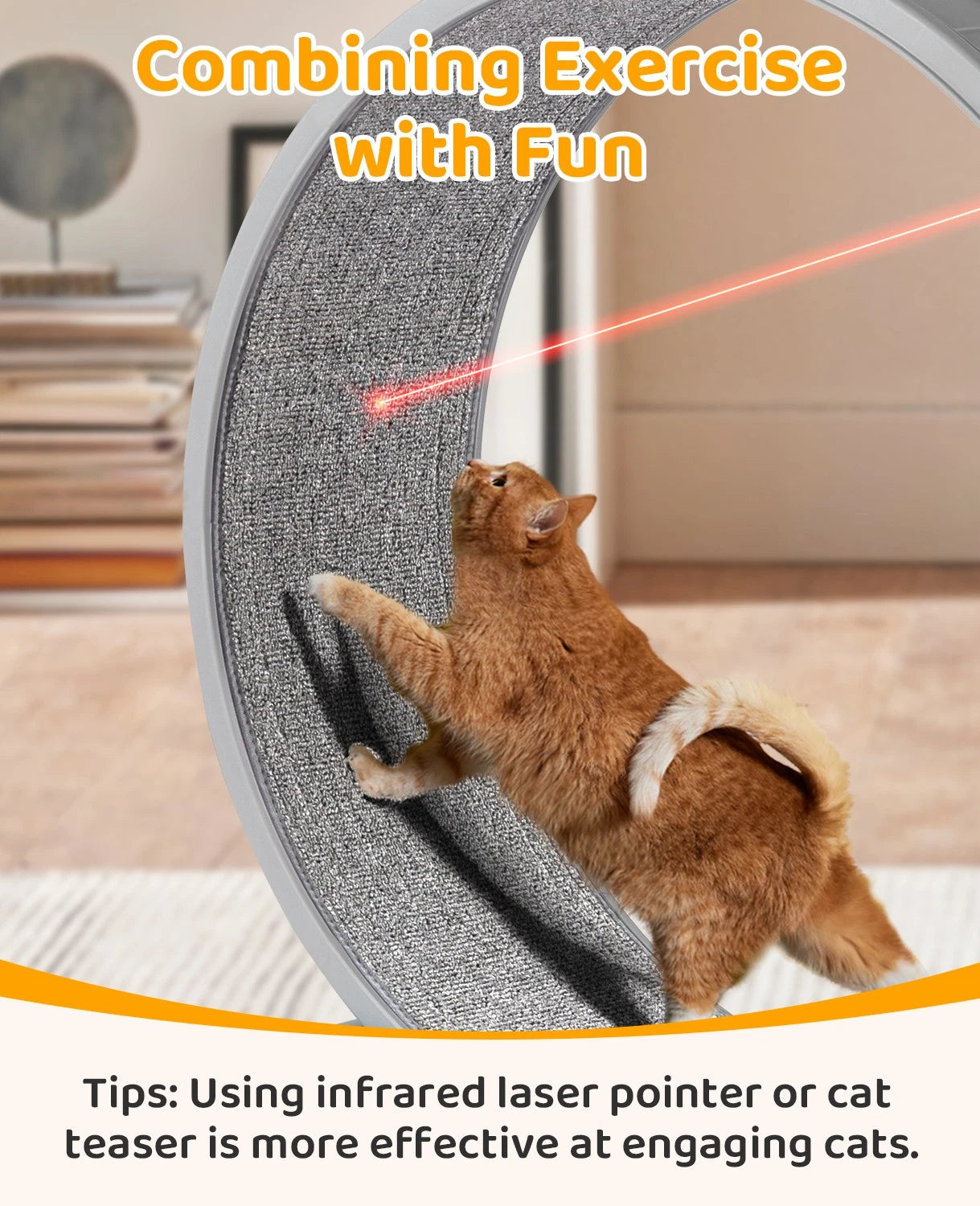 Indoor Silent Cat Treadmill – pengde